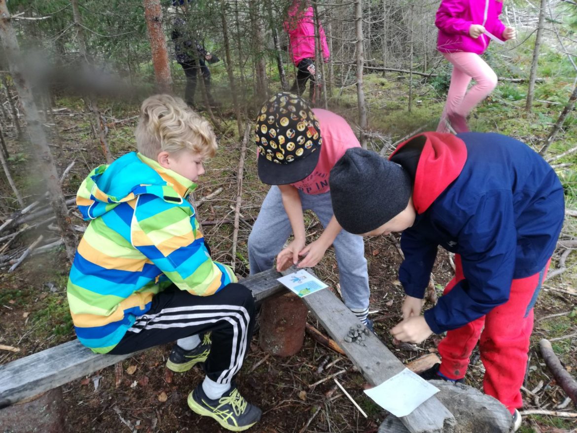 The Finnish forestpedagogy – The forest promotes learning and overall ...